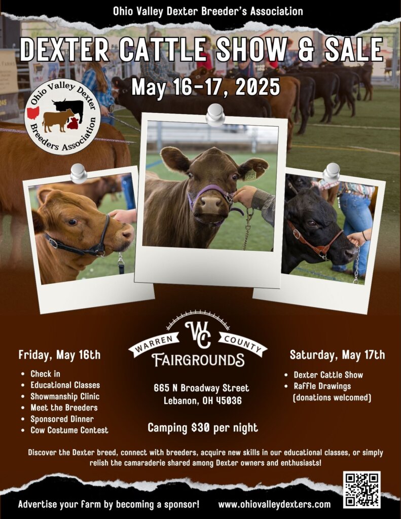Ohio Valley Dexter’s Breeders Association - American Dexter Cattle ...